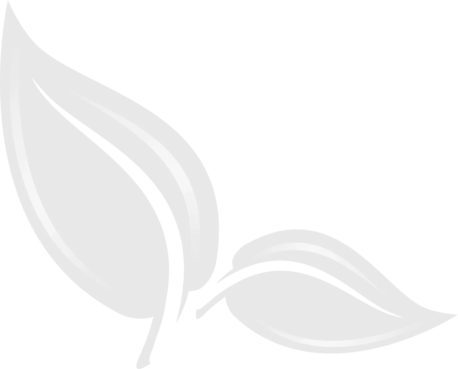 Charlotte NC Landscaping And Lawn Care - Hyatt Landscaping