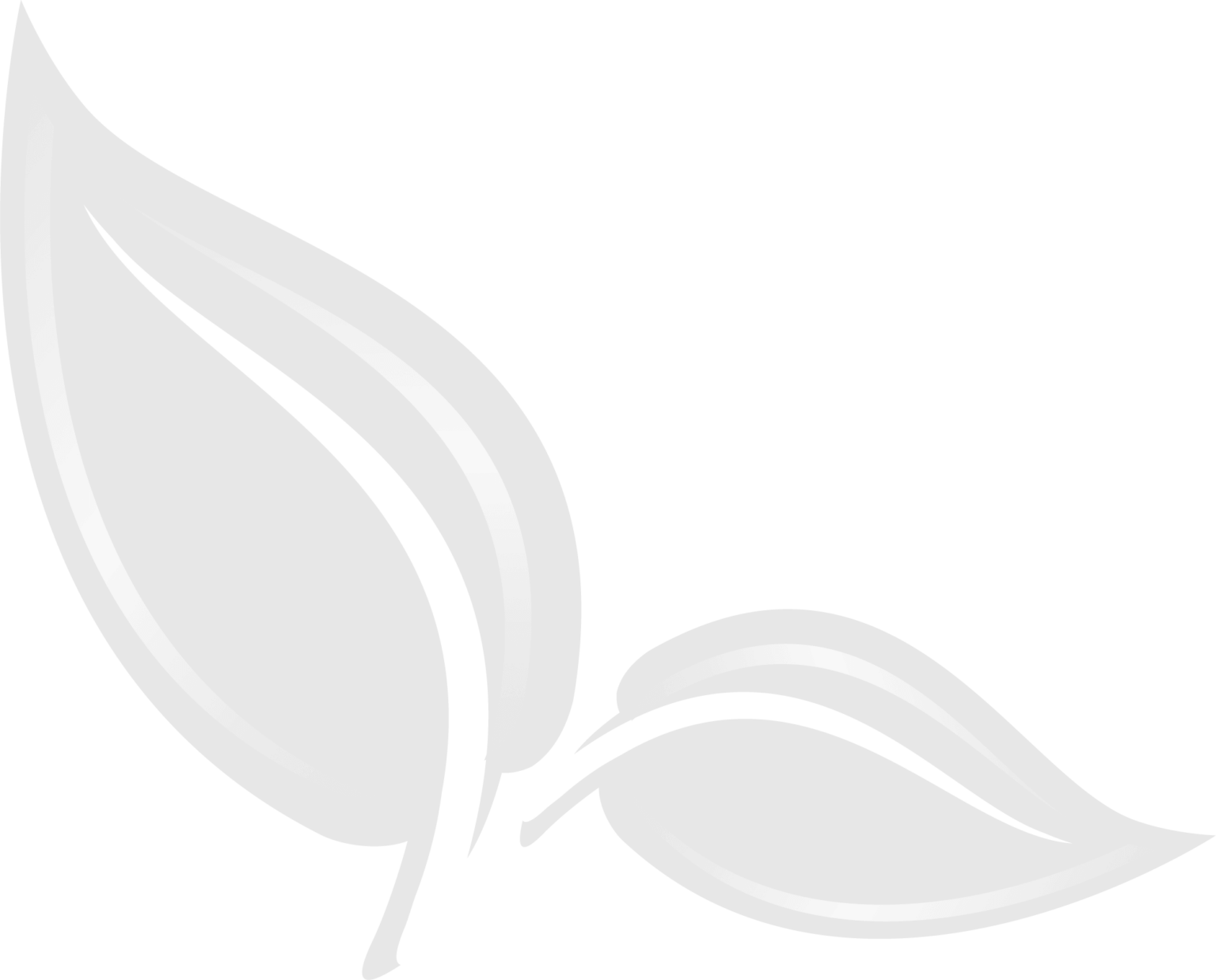 Charlotte Landscape Design: Creating Outdoor Spaces That Thrive in ...