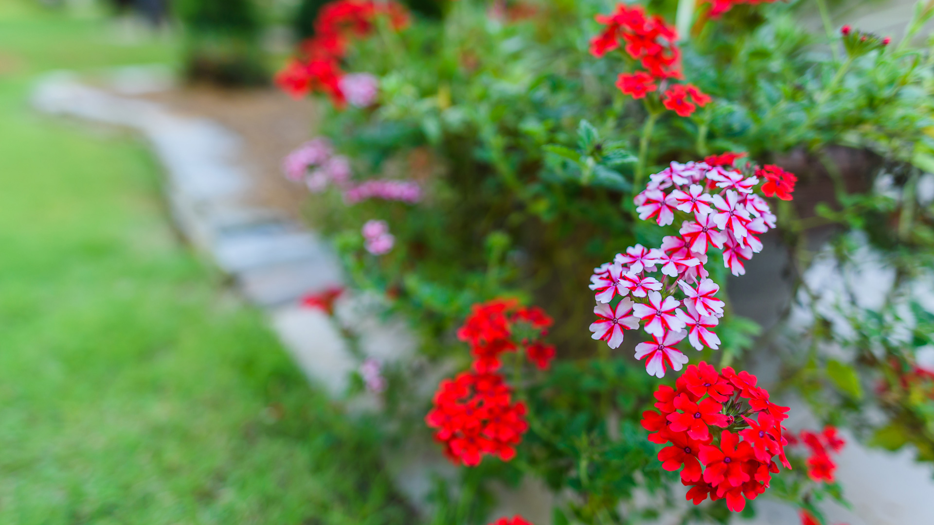 Landscape Blog For Charlotte Nc Hyatt Landscaping